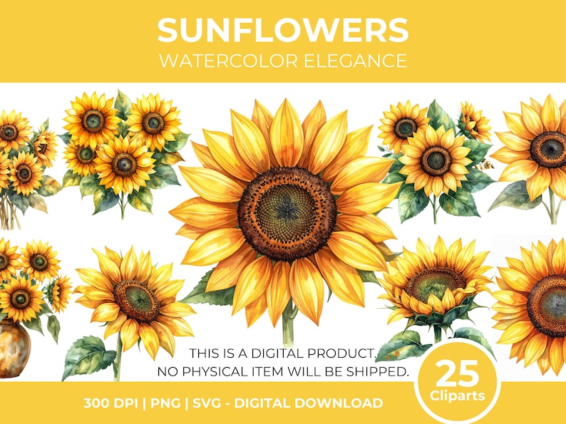 Sunflower Watercolor Clipart Set, 25 PNG SVG Files, Yellow Floral ...
