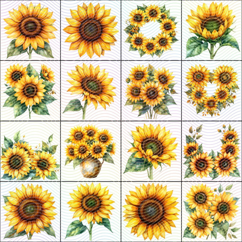 Sunflower Watercolor Clipart Set, 25 PNG SVG Files, Yellow Floral ...