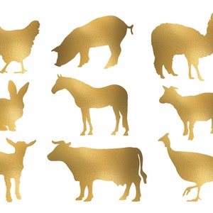 Canva Farm Animals Template, Editable Animals Template, Canva Template ...