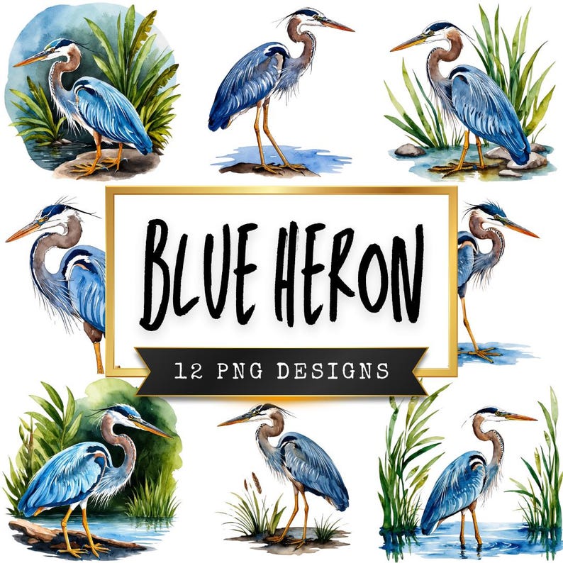 12 Watercolor Blue Heron Clipart Png, Blue Heron Png, Watercolor Png ...
