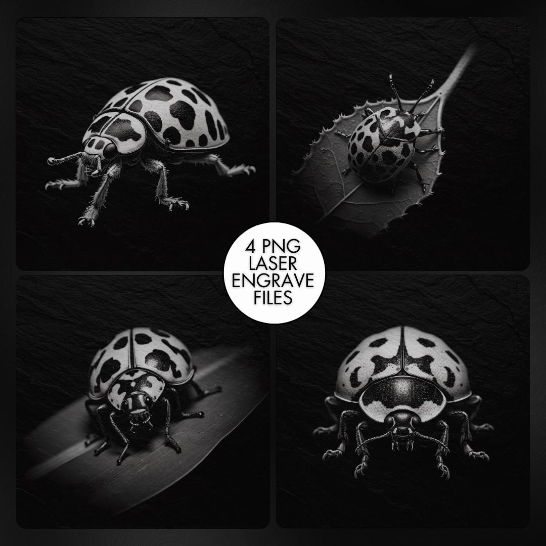 4 Lady Bug Laser Engraving PNG, Slate Engraving PNG, Laser Burning ...