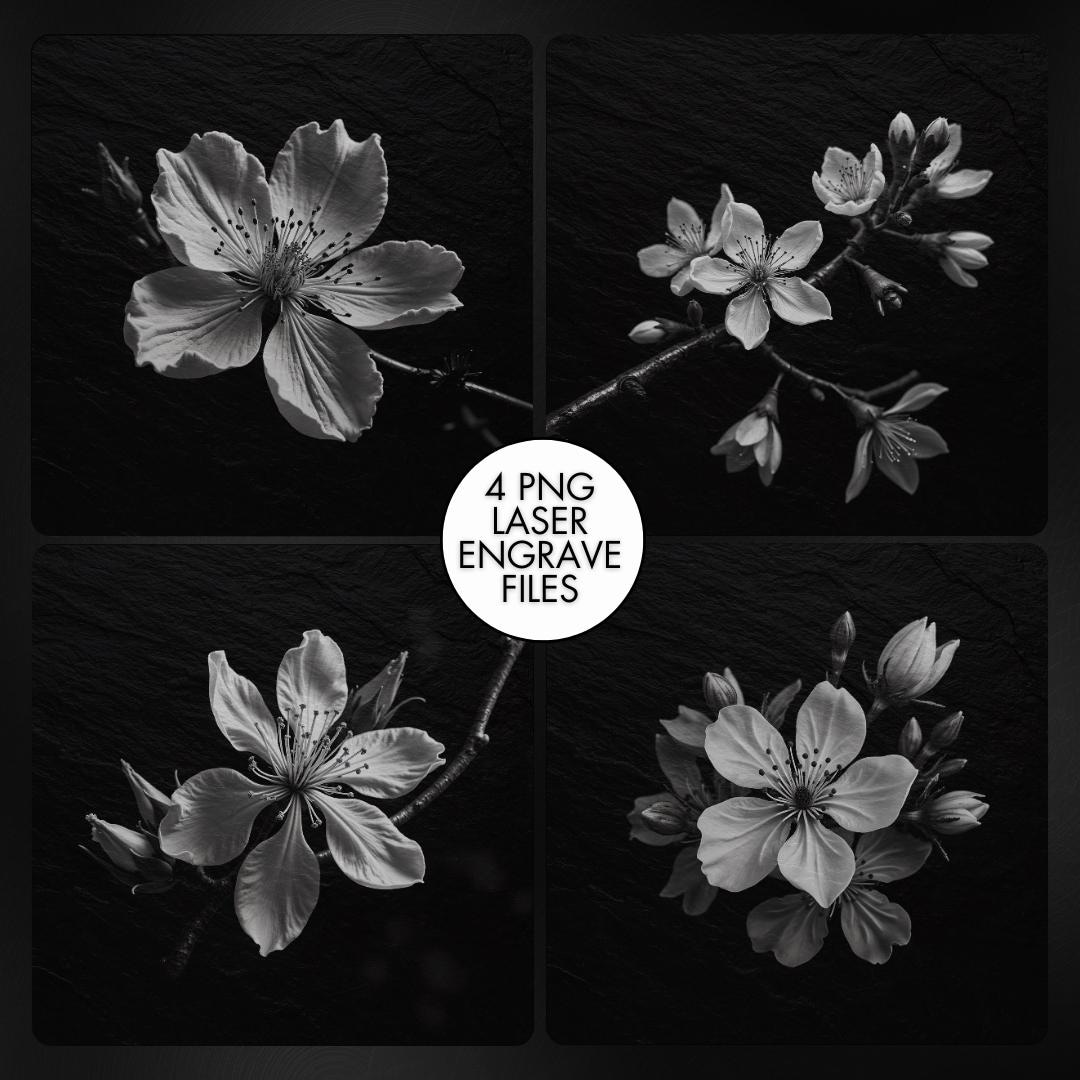 4 Cherry Blossom Laser Engraving PNG, Slate Engraving PNG, Laser ...