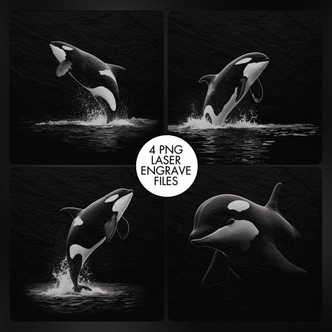 4 Orca Laser Engraving PNG, Slate Engraving PNG, Laser Burning, Laser ...