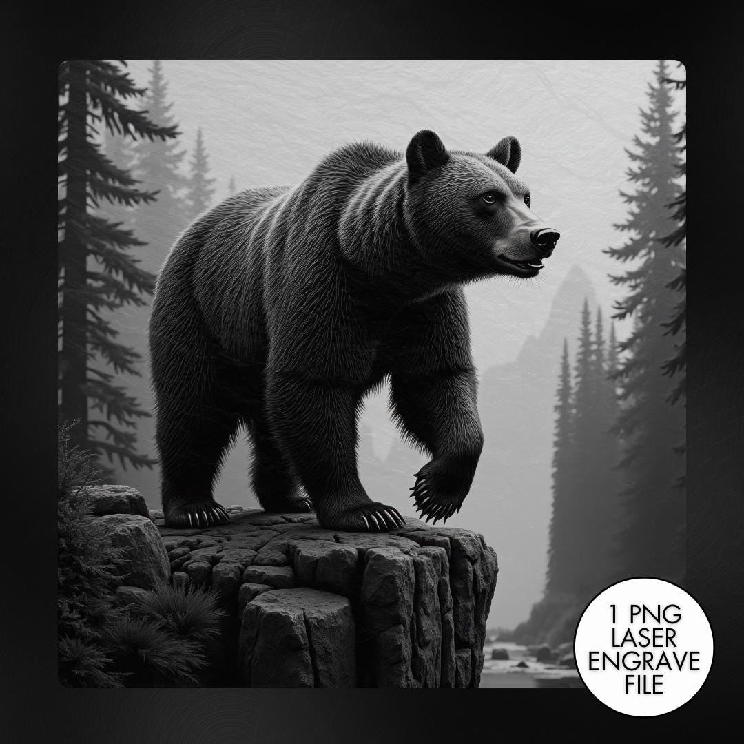 Bear Laser Engraving PNG, Slate Engraving PNG, Laser Burning, Laser ...
