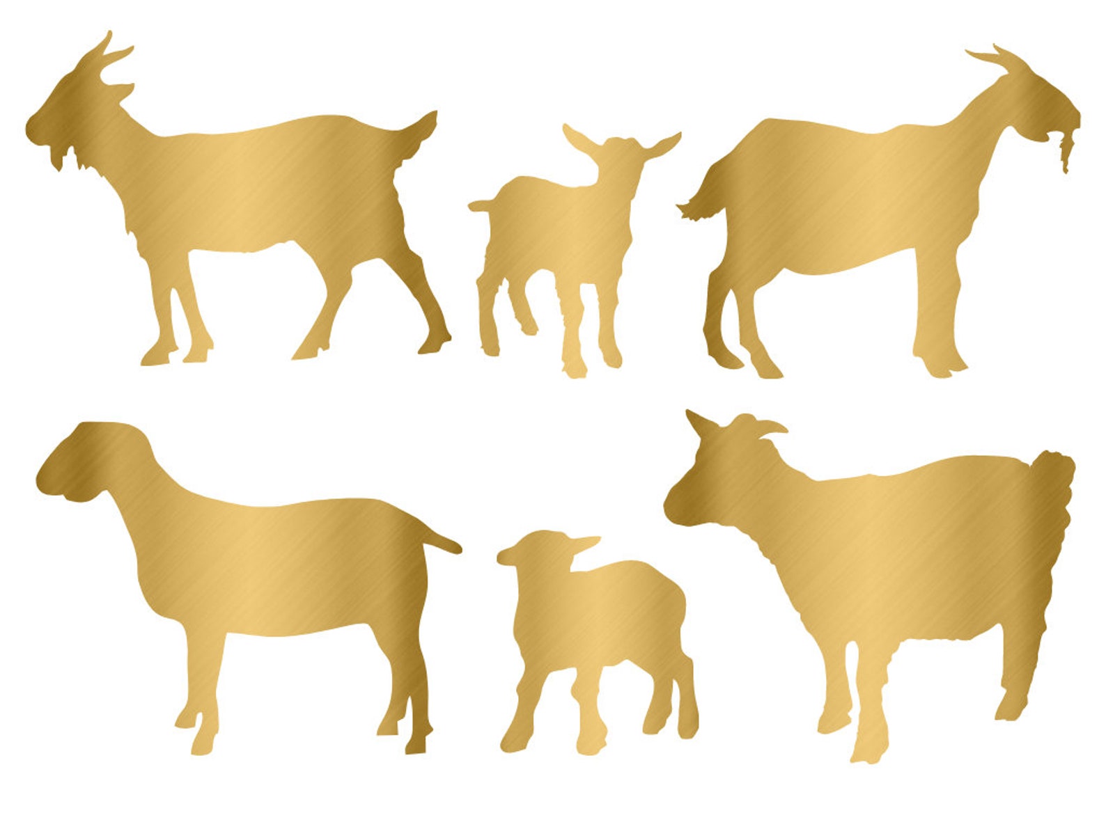 Canva Goat Template Editable Goat Template Canva Template - Etsy