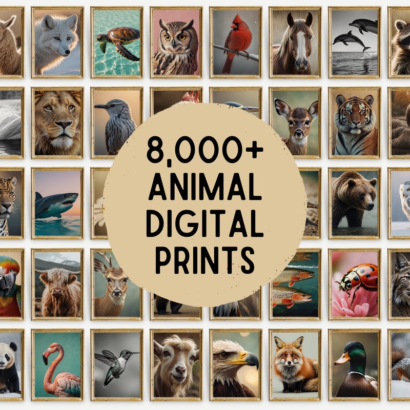 Animal Art Print - Etsy