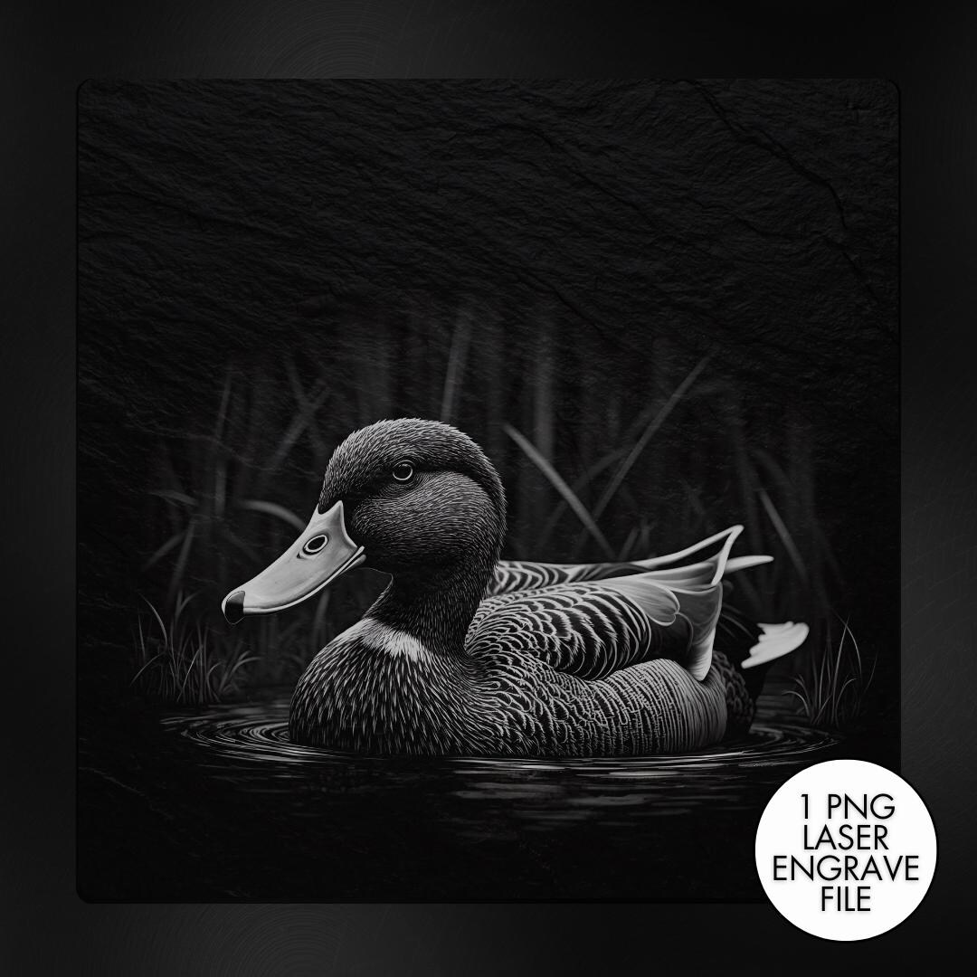 Mallard Duck Laser Engraving PNG, Slate Engraving PNG, Laser Burning ...