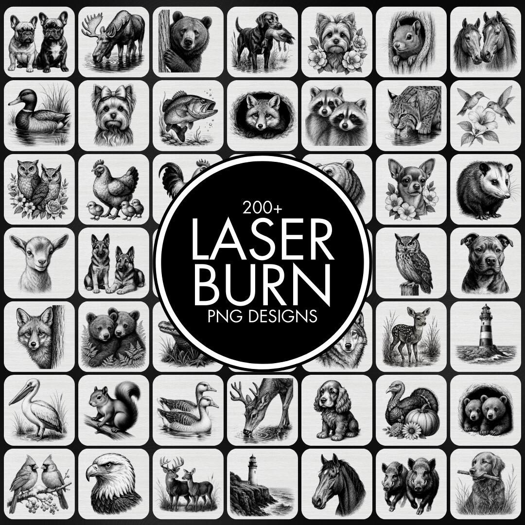 500+ Laser Burn Designs Bundle, Laser Burn Bundle, Entire Shop Sale ...