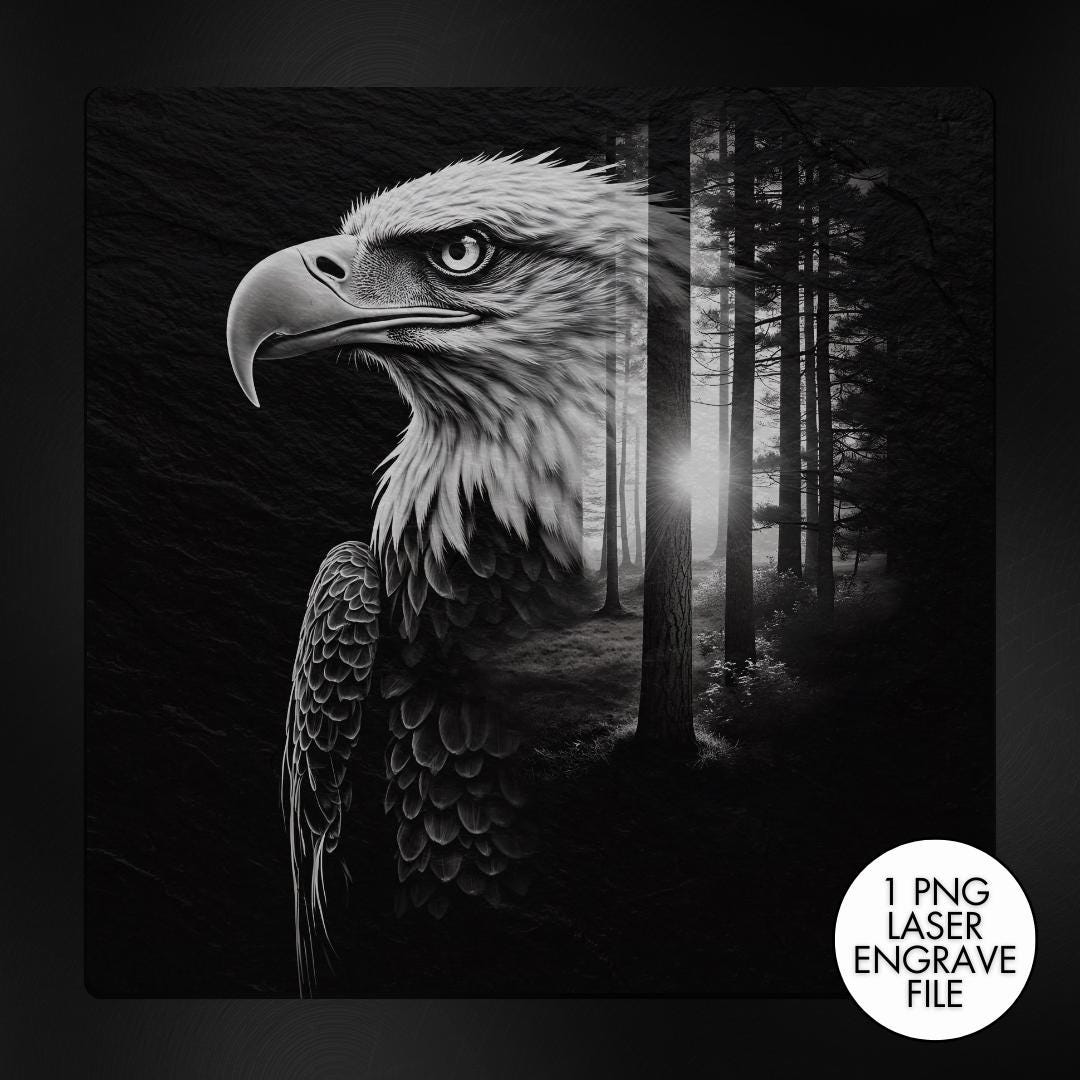 Eagle Laser Engraving PNG, Slate Engraving PNG, Laser Burning, Laser ...