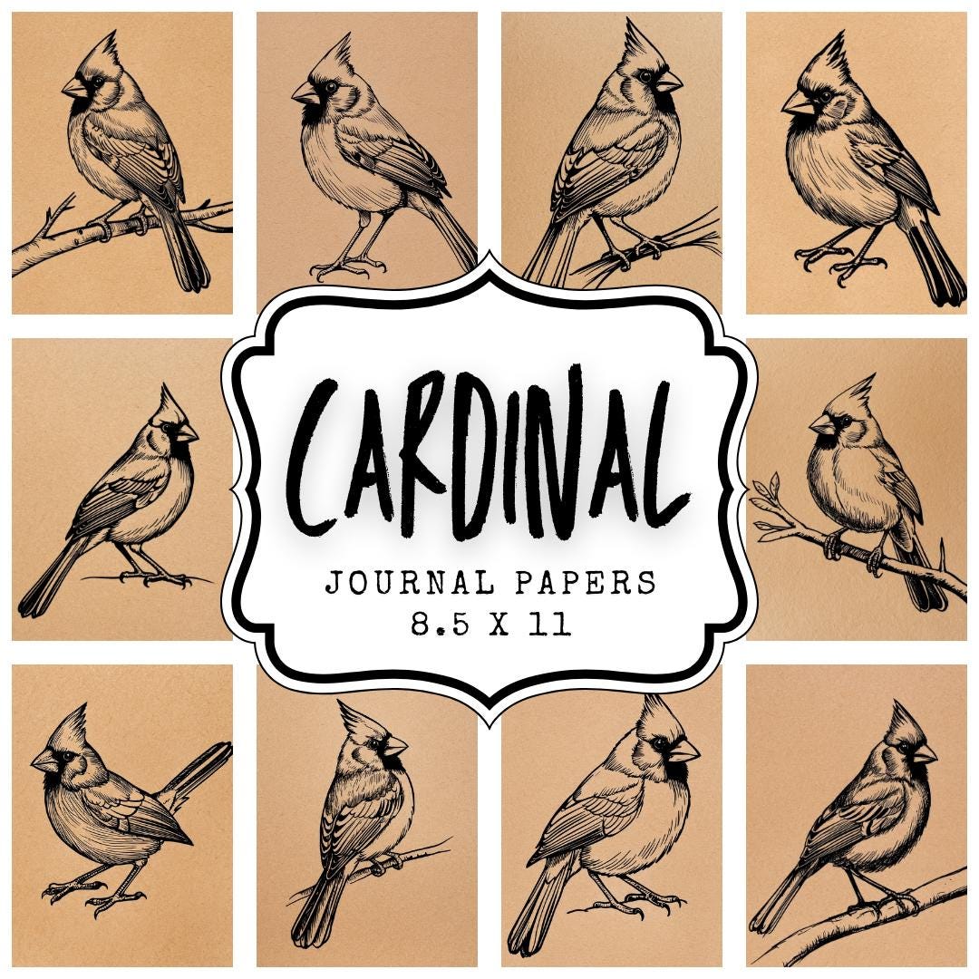 10 Cardinal Journal Pages, Digital Paper, Digital Scrapbook, Card ...