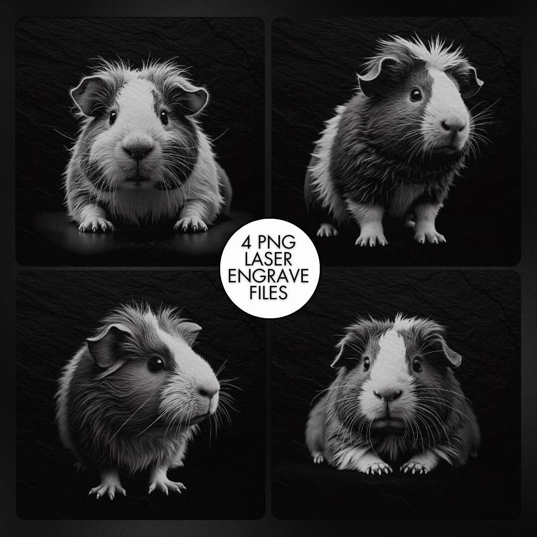 4 Guinea Pig Laser Engraving PNG, Slate Engraving PNG, Laser Burning ...