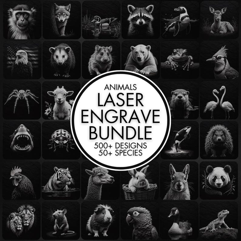 500+ Animals Laser Engraving PNG Files for Slate Coasters, Entire Shop ...