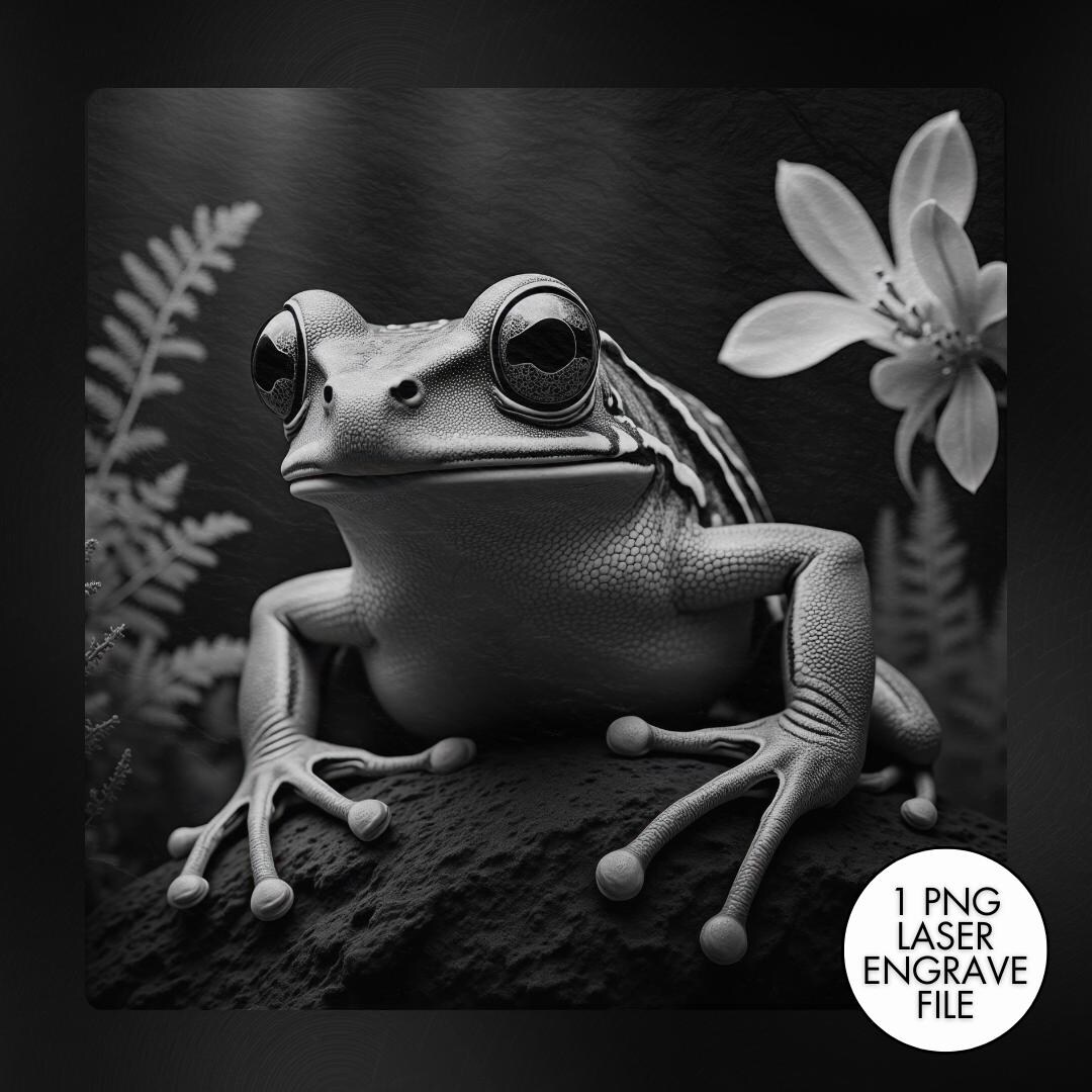 Frog Laser Engraving PNG, Slate Engraving PNG, Laser Burning, Laser ...