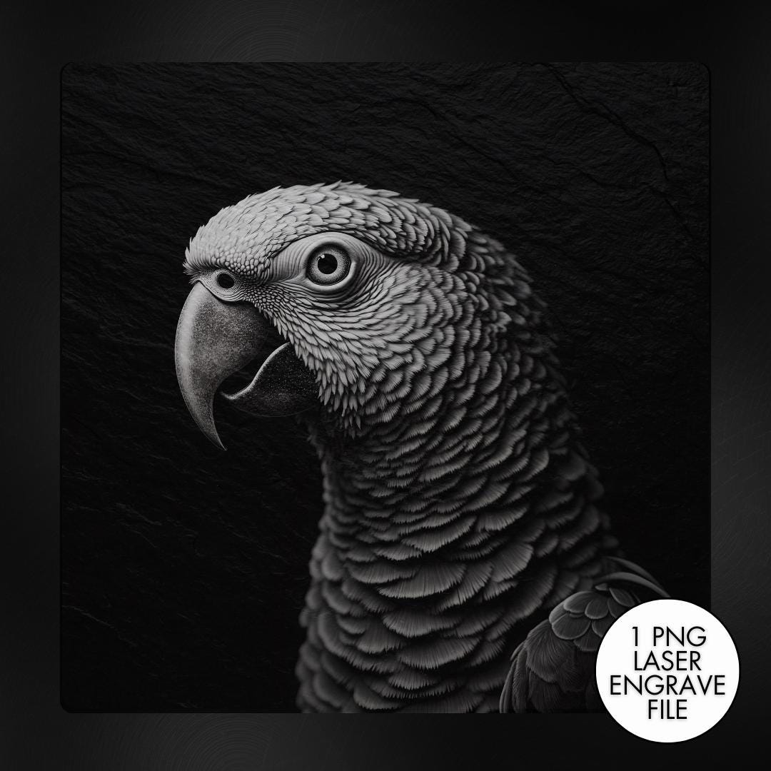 Parrot Laser Engraving PNG, Slate Engraving PNG, Laser Burning, Laser ...