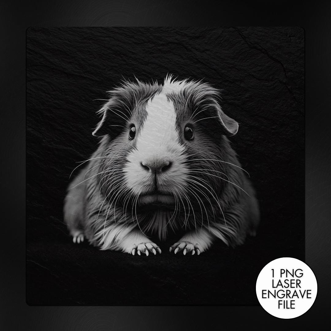 Guinea Pig Laser Engraving PNG, Slate Engraving PNG, Laser Burning ...