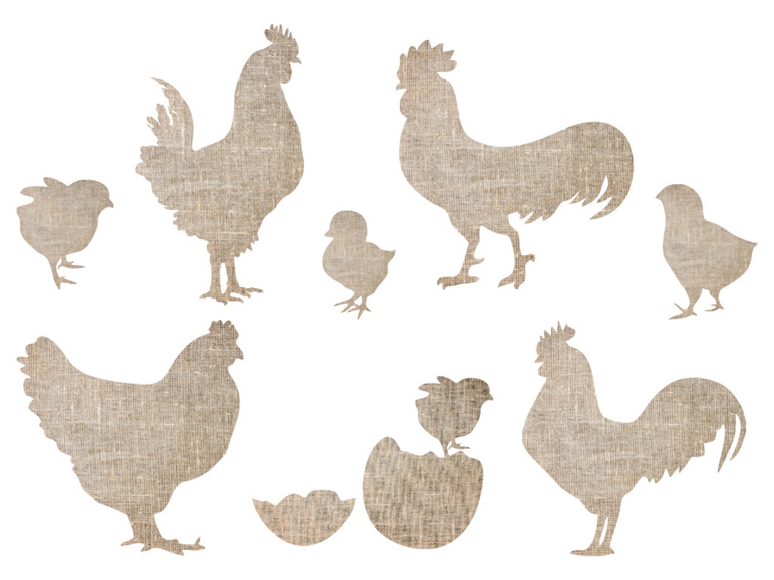 Canva Chicken Templates, Editable Chicken Template, Canva Template ...