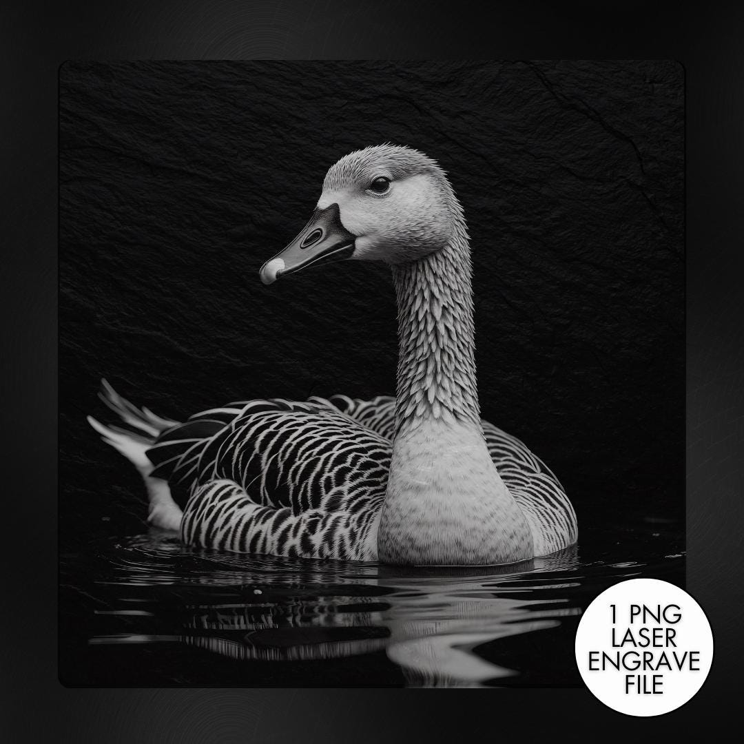 Goose Laser Engraving PNG, Slate Engraving PNG, Laser Burning, Laser ...