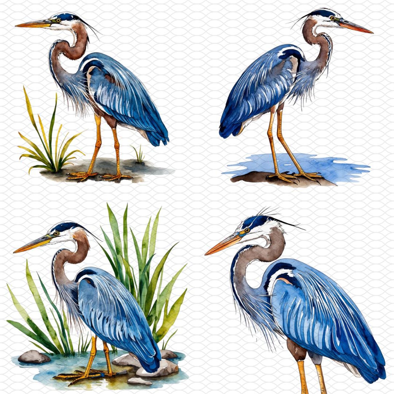 12 Watercolor Blue Heron Clipart Png, Blue Heron Png, Watercolor Png ...