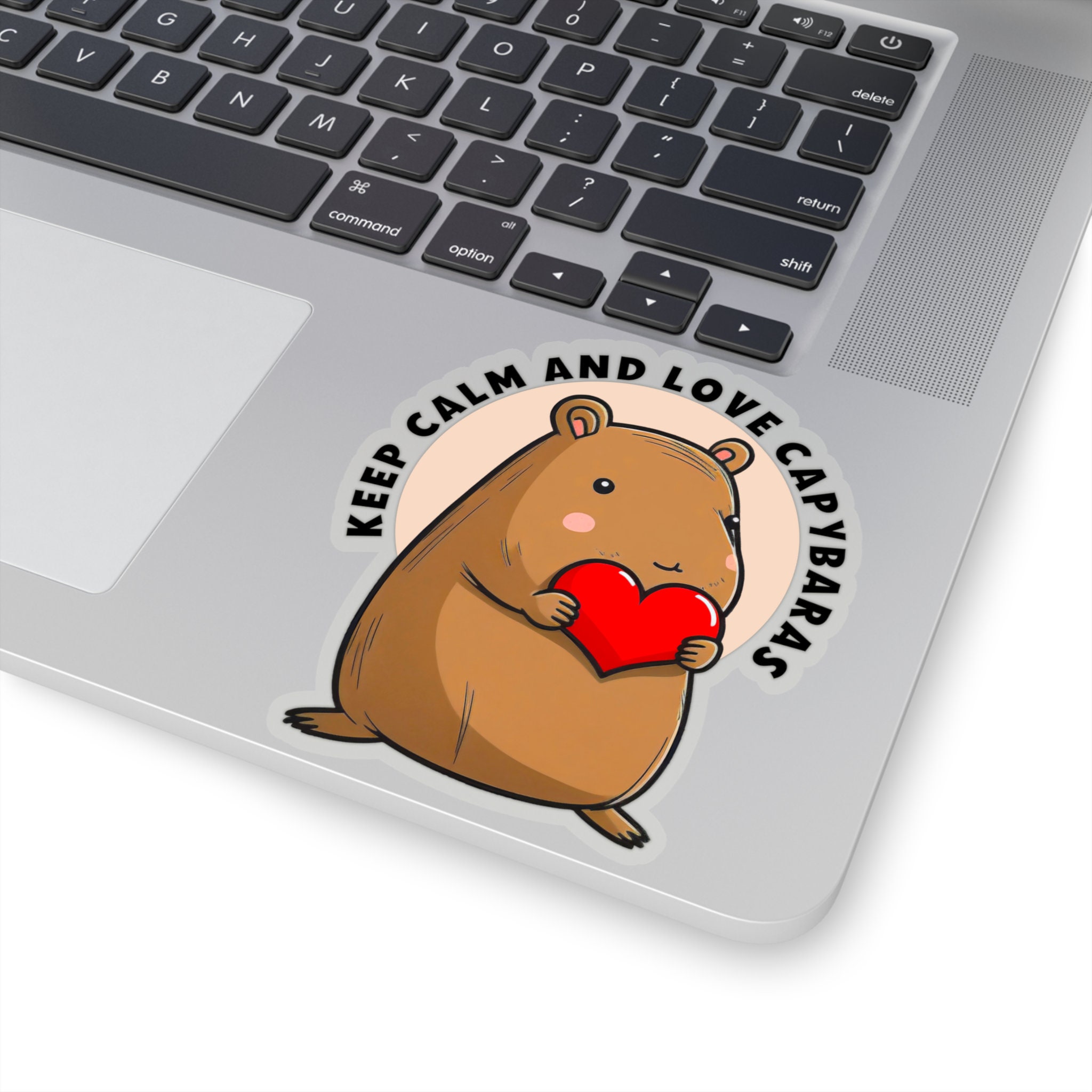 Capybara Sticker, Cute Capybara, Keep Calm and Love Capybaras Sticker ...