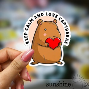 Capybara Sticker, Cute Capybara, Keep Calm and Love Capybaras Sticker ...