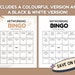Networking Bingo Game Workplace Bingo Work Bingo Icebreaker Game Office ...