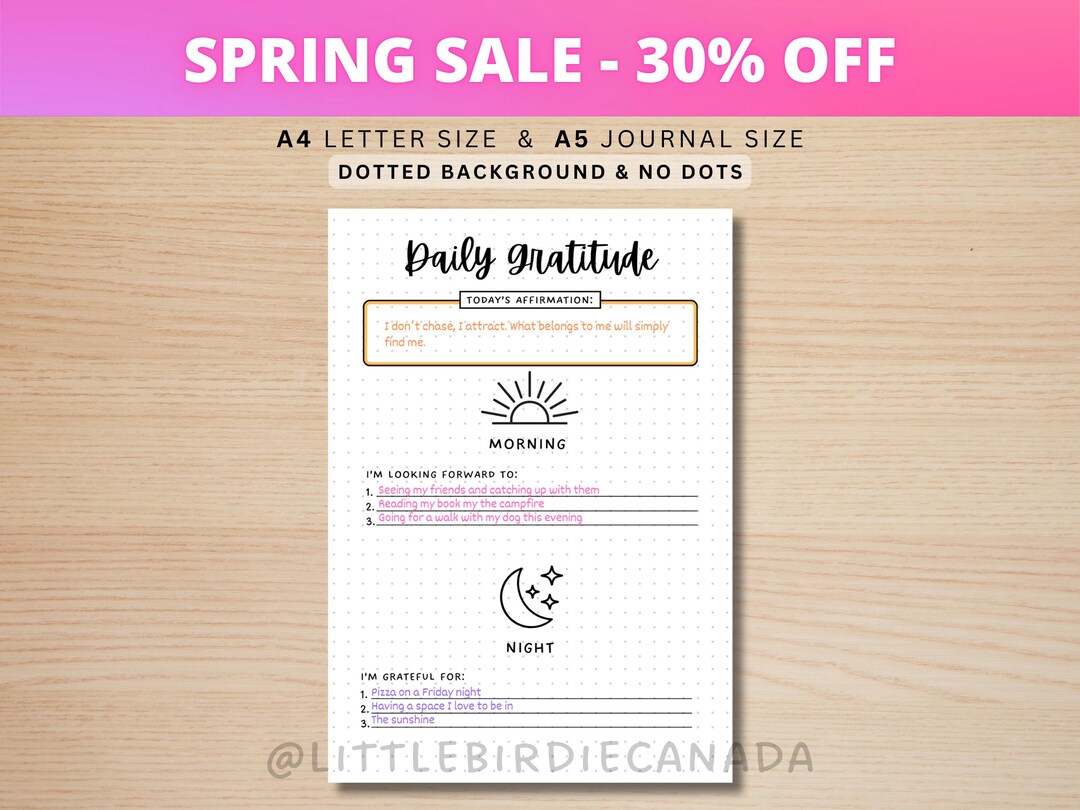 Daily Gratitude Journal - PRINTABLE Gratitude Journal Page - Planner ...