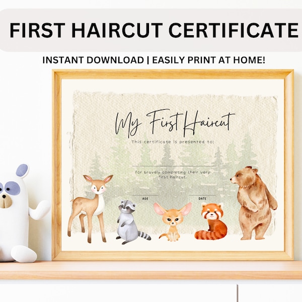First Haircut Keepsake - Etsy
