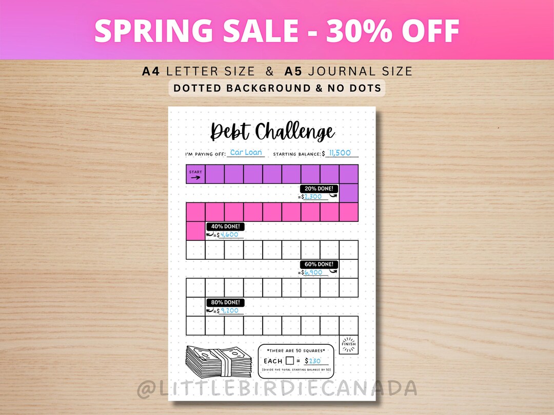 Debt Challenge - PRINTABLE Journal Page - Planner Page - Debt Tracker ...