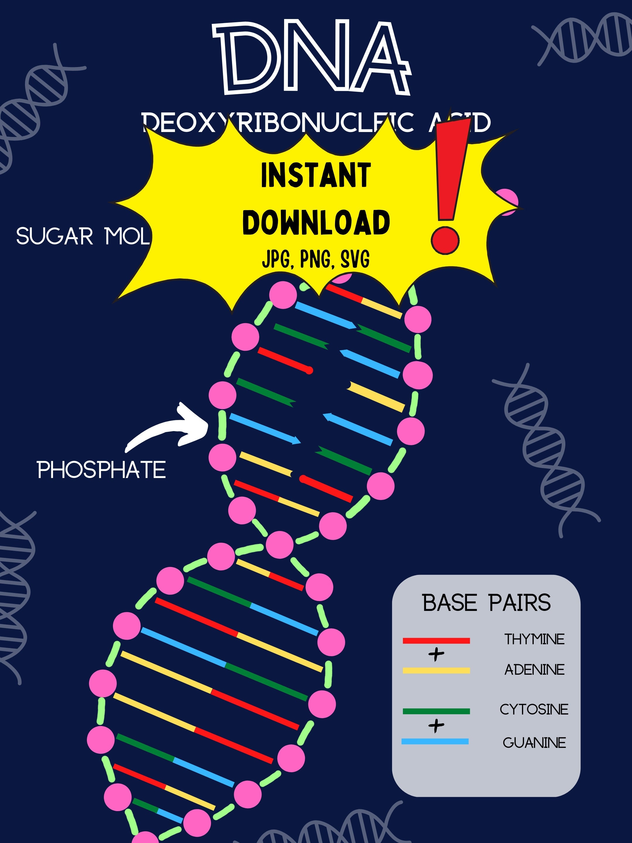 DNA Anchor Chart Digital Download Poster for Science Classroom ...