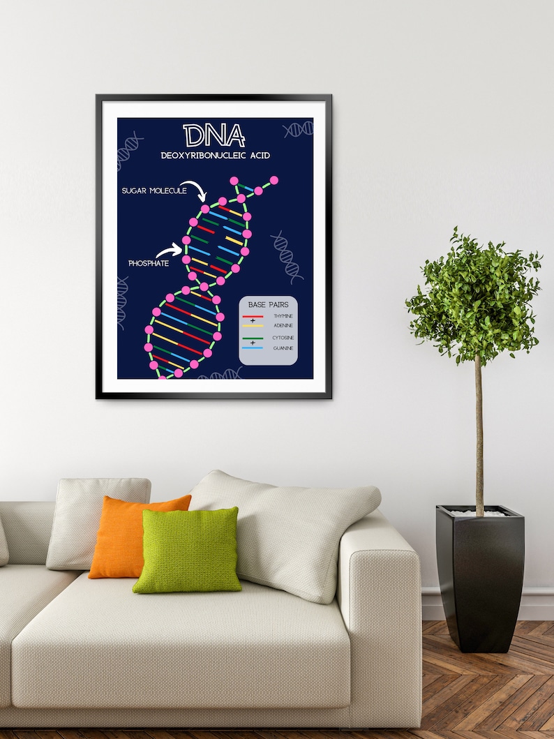 DNA Anchor Chart Digital Download Poster for Science Classroom ...