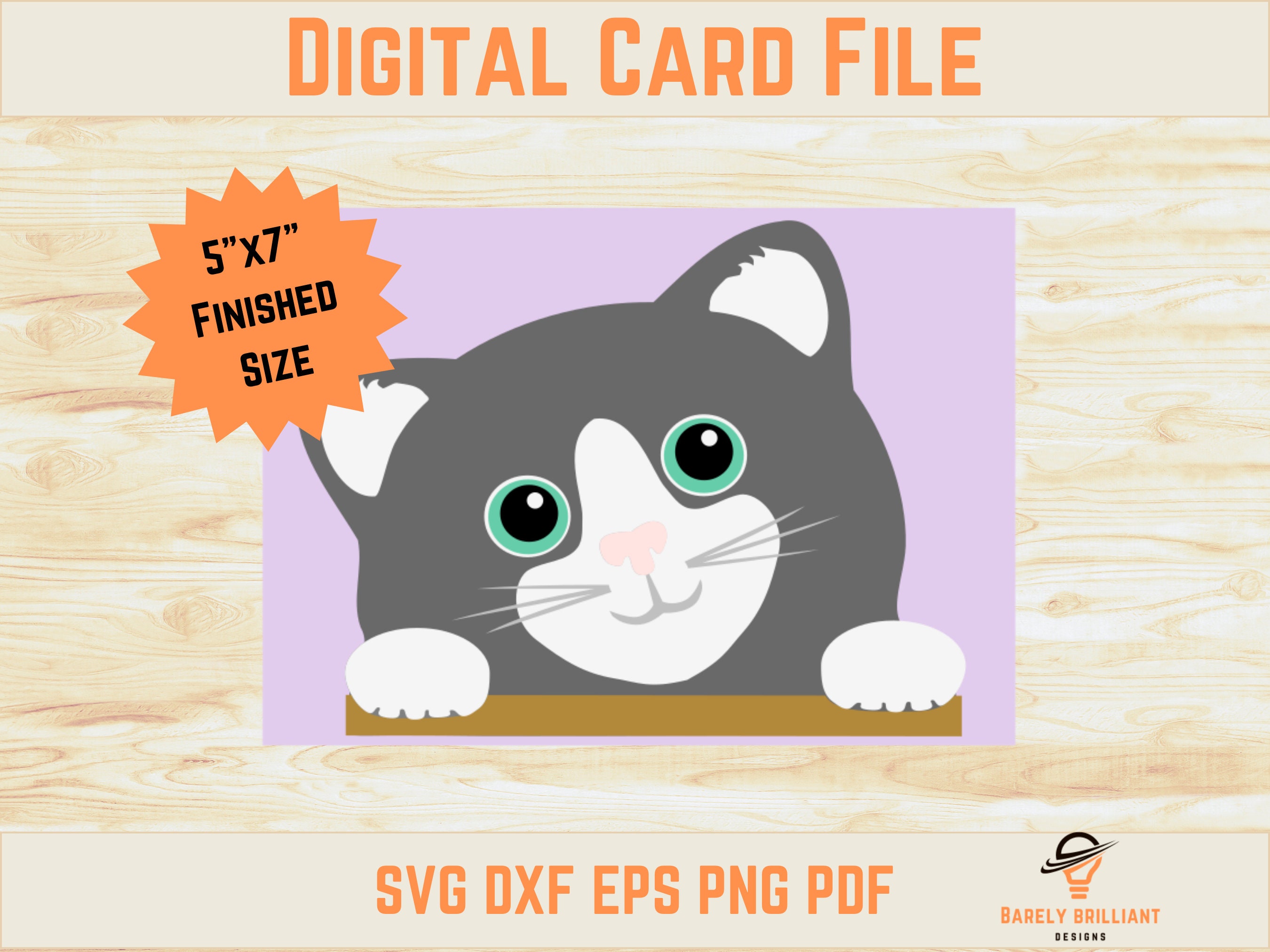 Cat Card Digital File Kids Birthday Card Cute Halloween - Etsy