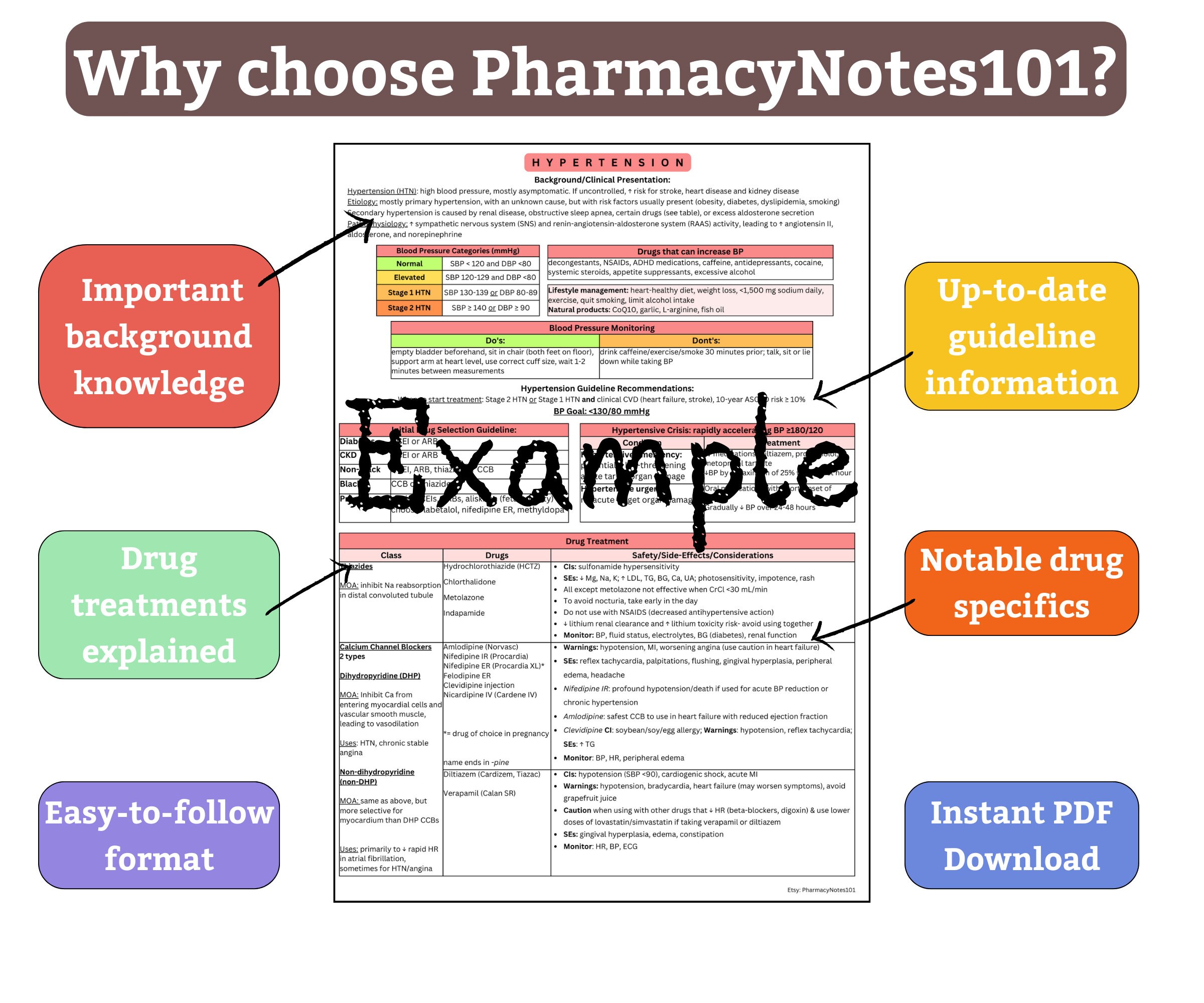 Neurology Notes, NAPLEX, Pharmacy School Notes, Pharmacy Student Study ...