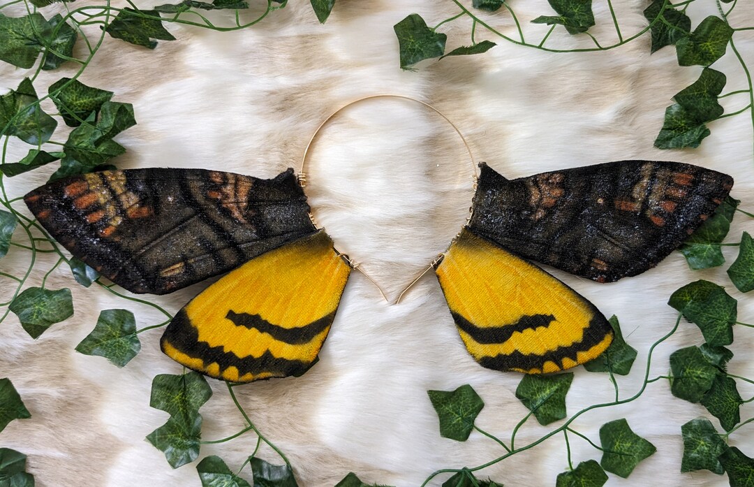 Made to Order Death's Head Moth Wing Headpiece - Etsy
