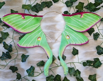Made to Order Rosy Maple Moth Wing Headpiece - Etsy