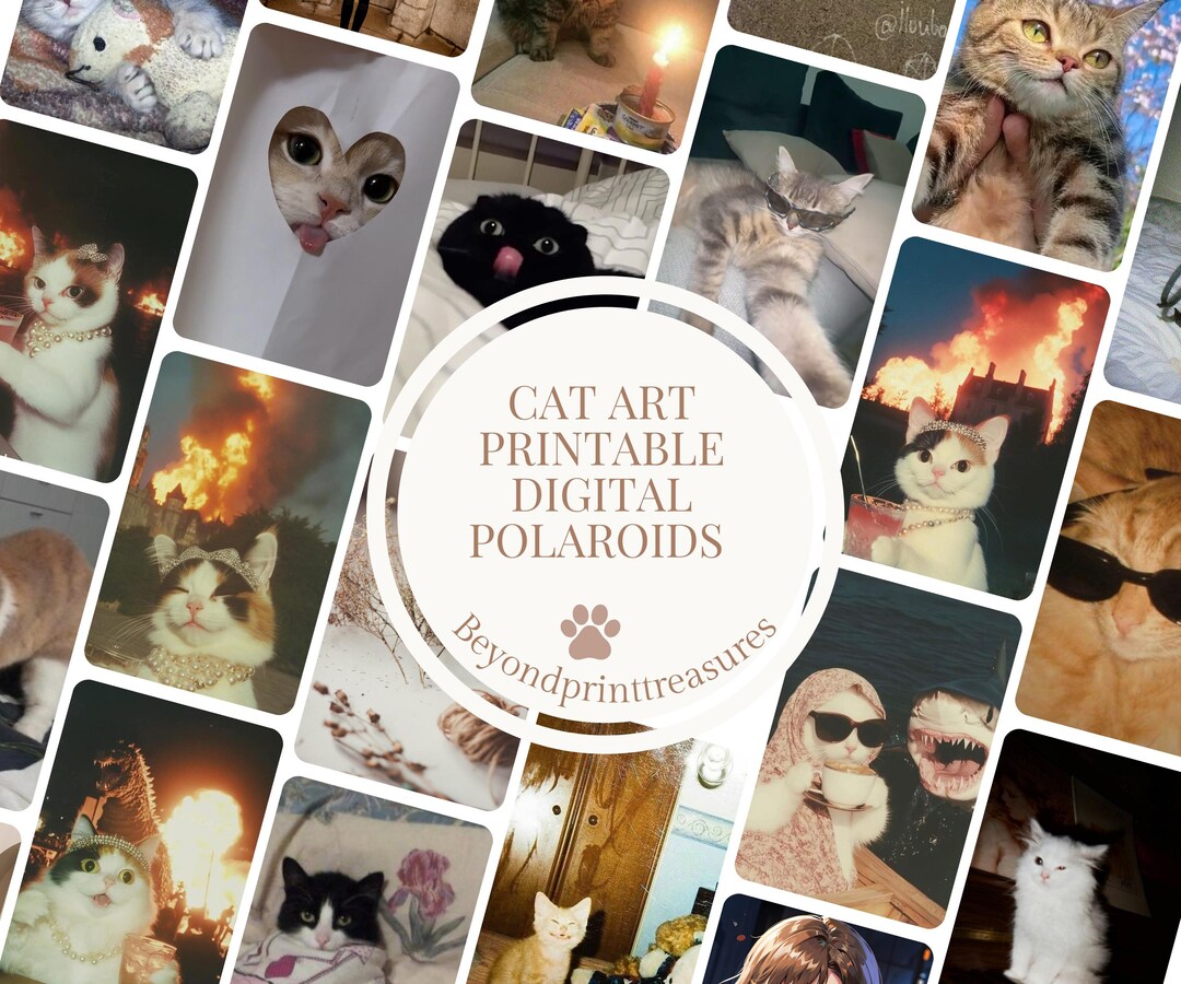 Adorable Polaroid Aesthetic Cat Art Prints/photos | Printable Vintage ...