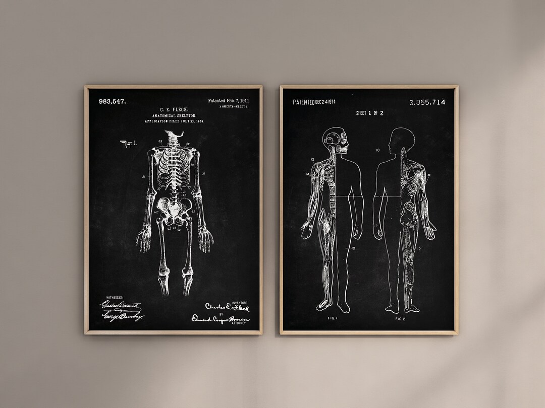 Anatomical Patent Prints, Set of 2, Skeleton Print, Gross Anatomy Wall ...