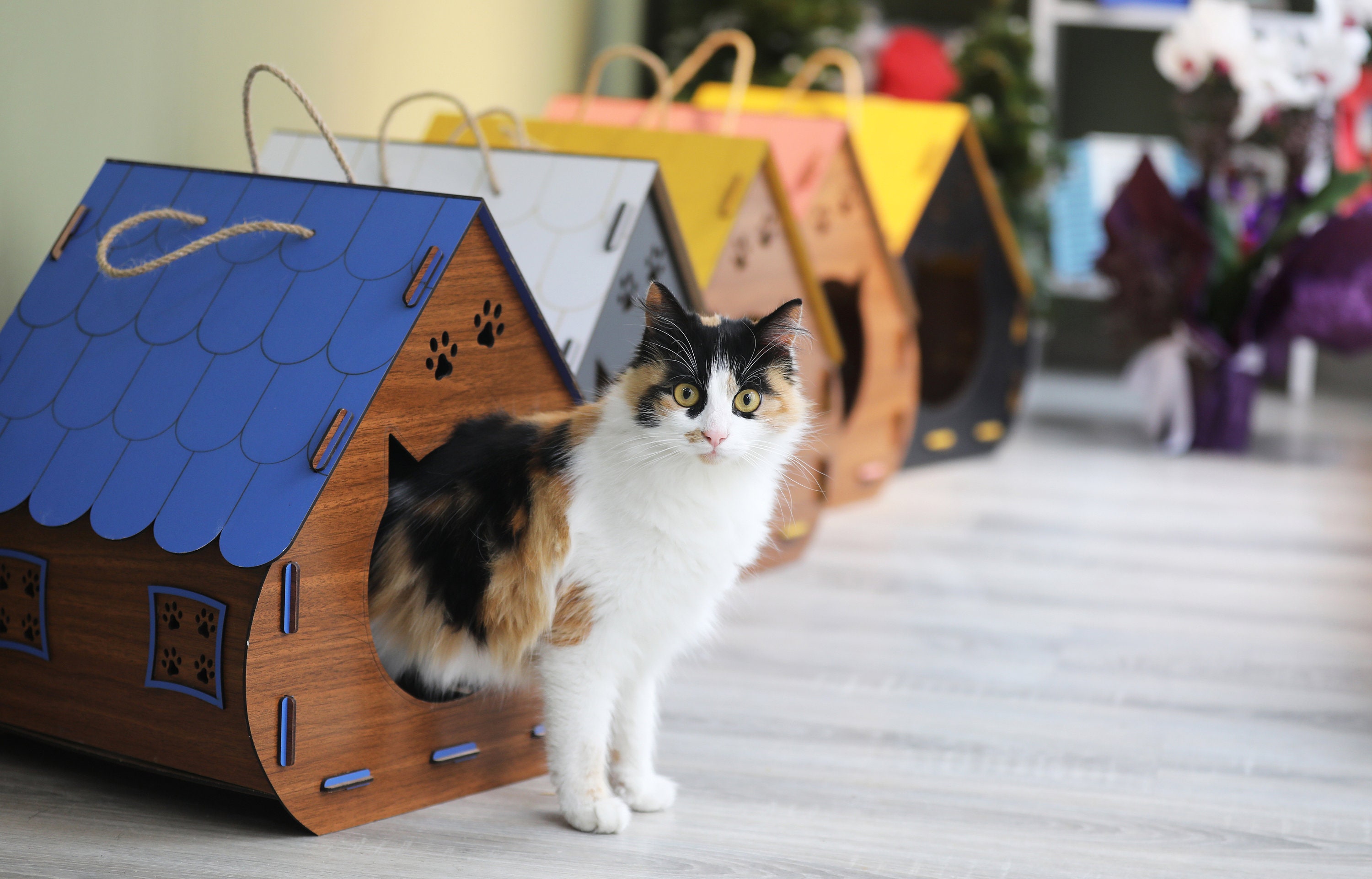 Portable Cat House, Cat Furniture, Wooden Modern Decorative Cat House ...