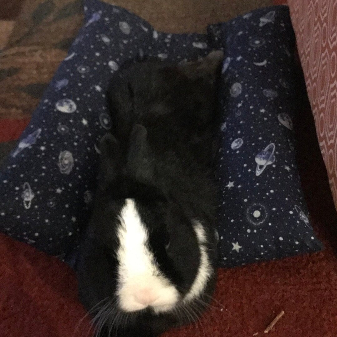 Snug as A Bug Bunny Bed Rabbit Bed - Etsy