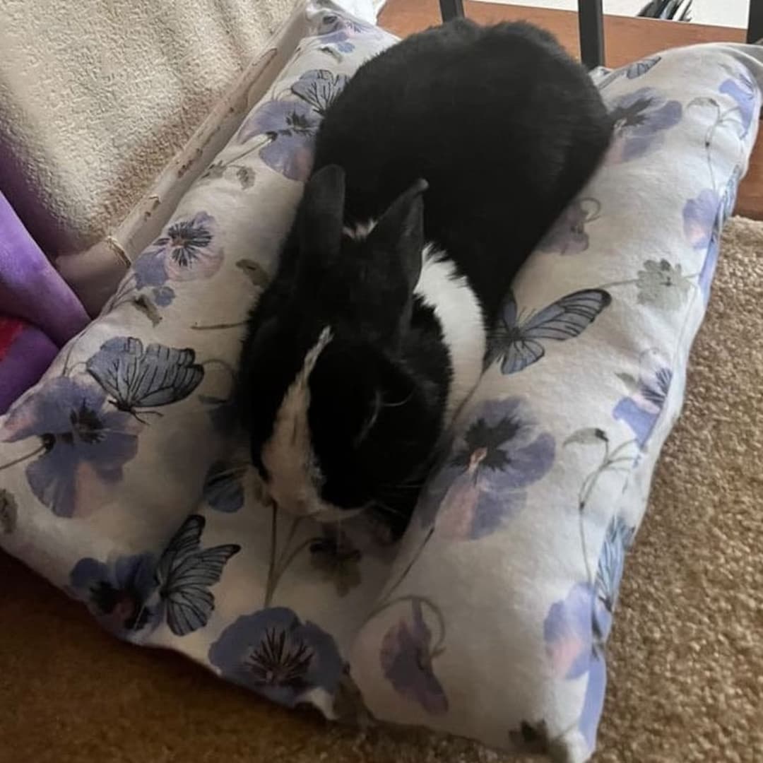 Floral Patterns | Snug as A Bug Bunny Bed | Rabbit Bed - Etsy