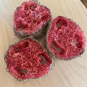 Floral Flavored Loofahs | Loofah Chew | Bunny, Guinea Pig, and Other ...