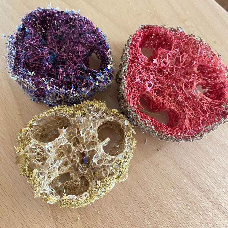 Floral Flavored Loofahs | Loofah Chew | Bunny, Guinea Pig, and Other ...