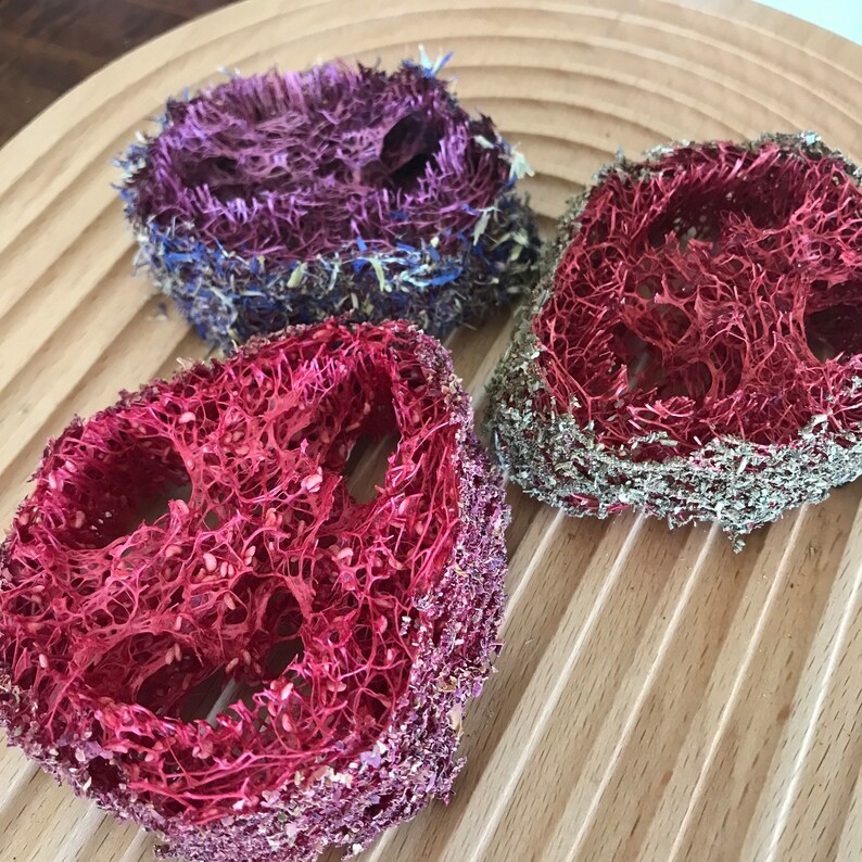 Floral Flavored Loofahs | Loofah Chew | Bunny, Guinea Pig, and Other ...