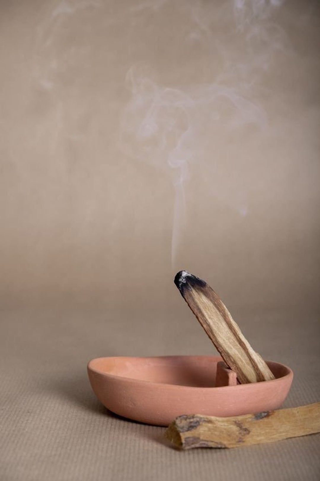 Palo Santo Sticks | Smudge Sticks, Sacred Wood, Holy Wood, Smudge Stick ...