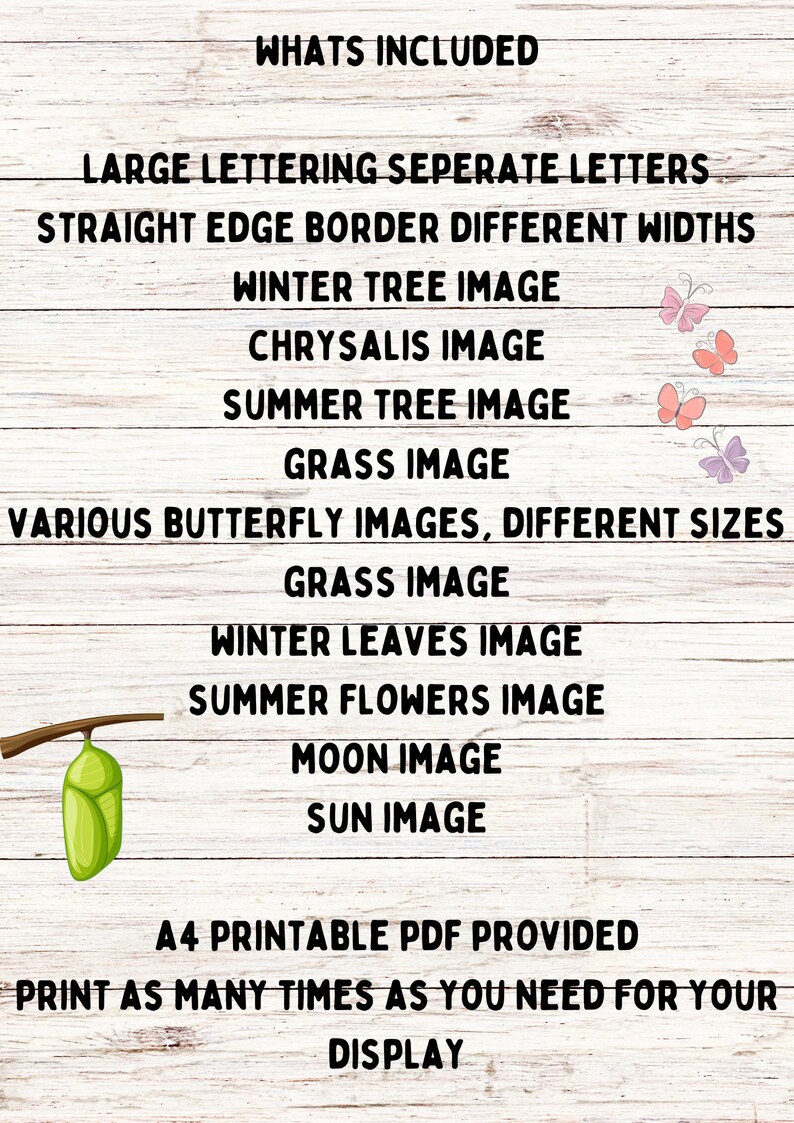 Butterfly Life Cycle Bulletin Board: End of Year Classroom Decor ...