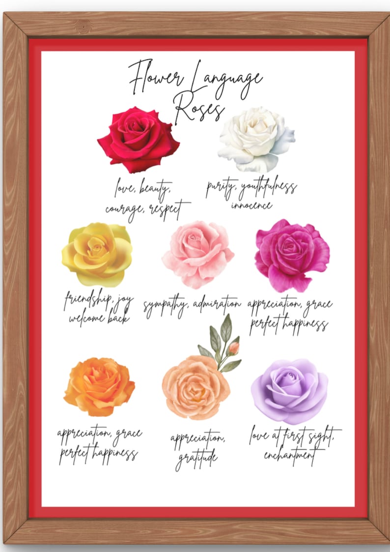 Language of Flowers Printable, Meanings of Roses Flowers, Meaning of ...