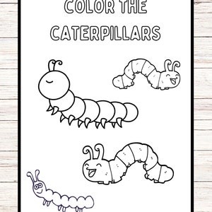 Butterfly Life Cycle Craft Printable: Metamorphosis Coloring Sheets (A4 ...