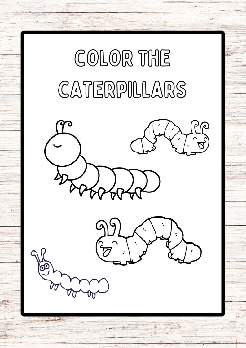 Butterfly Life Cycle Craft Printable, Butterfly Life Cycle Printable ...