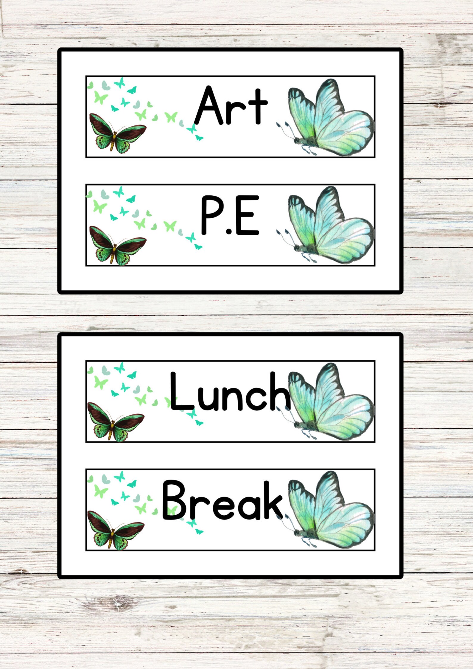 Butterfly Visual Class Schedule, Butterfly Bulletin Board, Visual ...