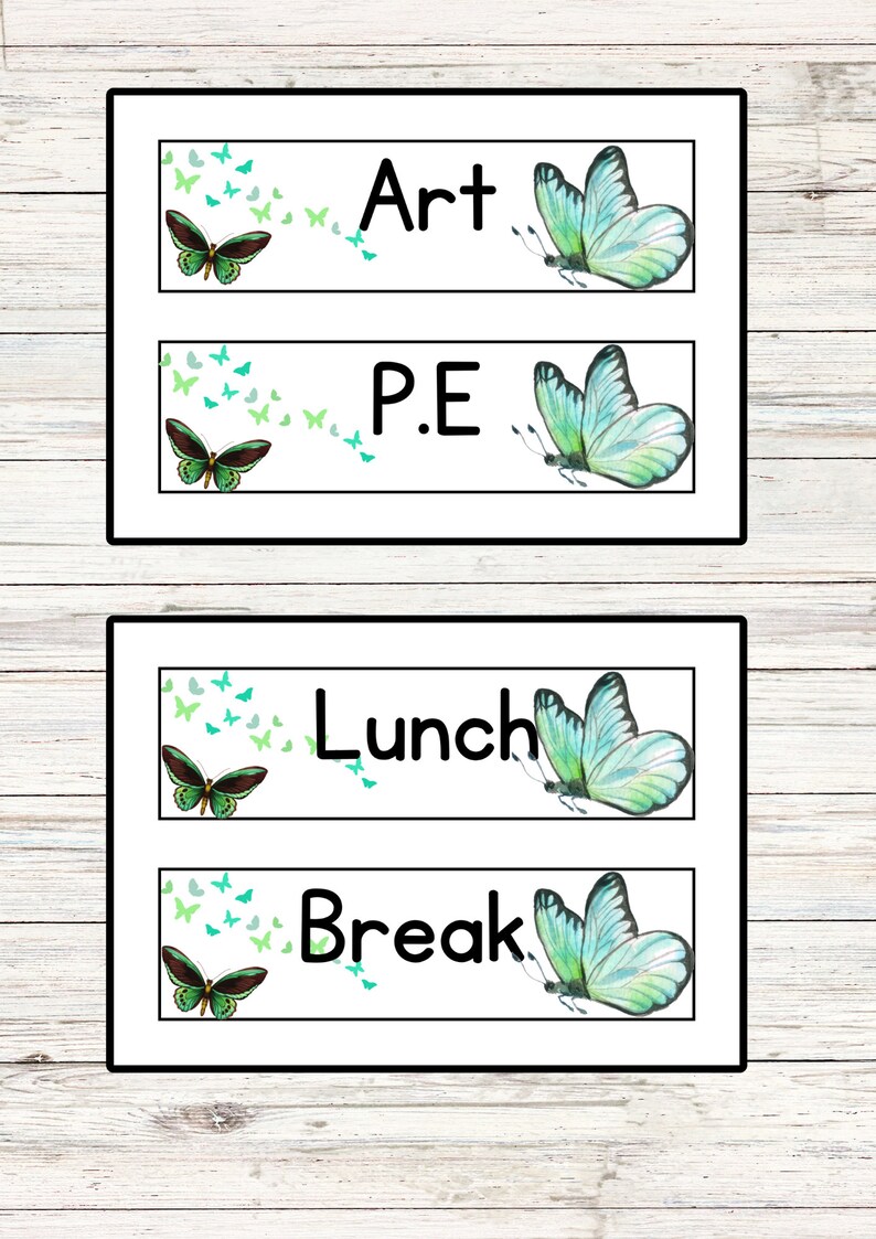 Butterfly Visual Class Schedule, Butterfly Bulletin Board, Visual ...