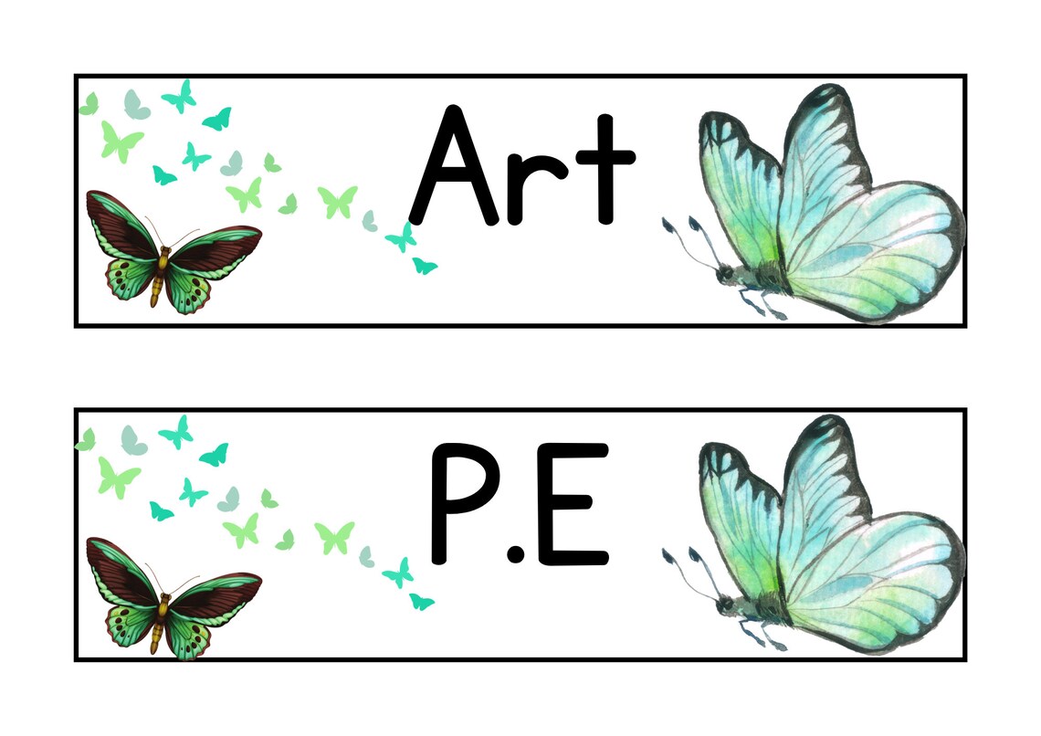 Butterfly Visual Class Schedule, Butterfly Bulletin Board, Visual ...